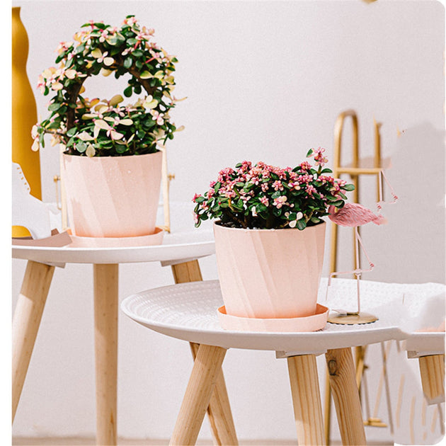 Pastel Planter – Homeplistic